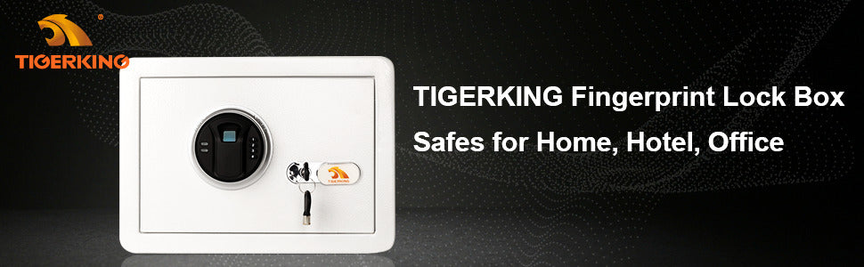 TIGERKING Small Closet Safe With Fingerprint Mini Home Safes FE25FED ...